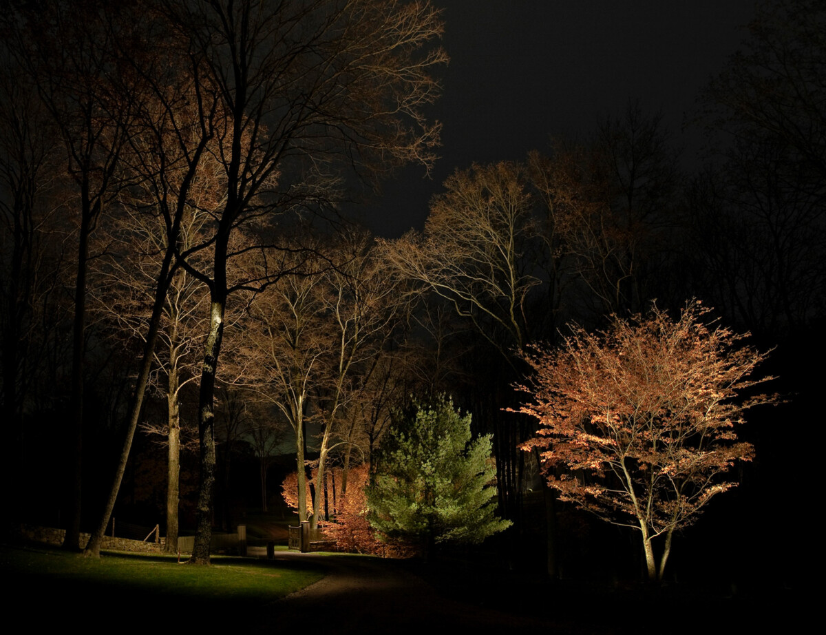 Precision Lighting with Lasting Adaptability | HK Lighting